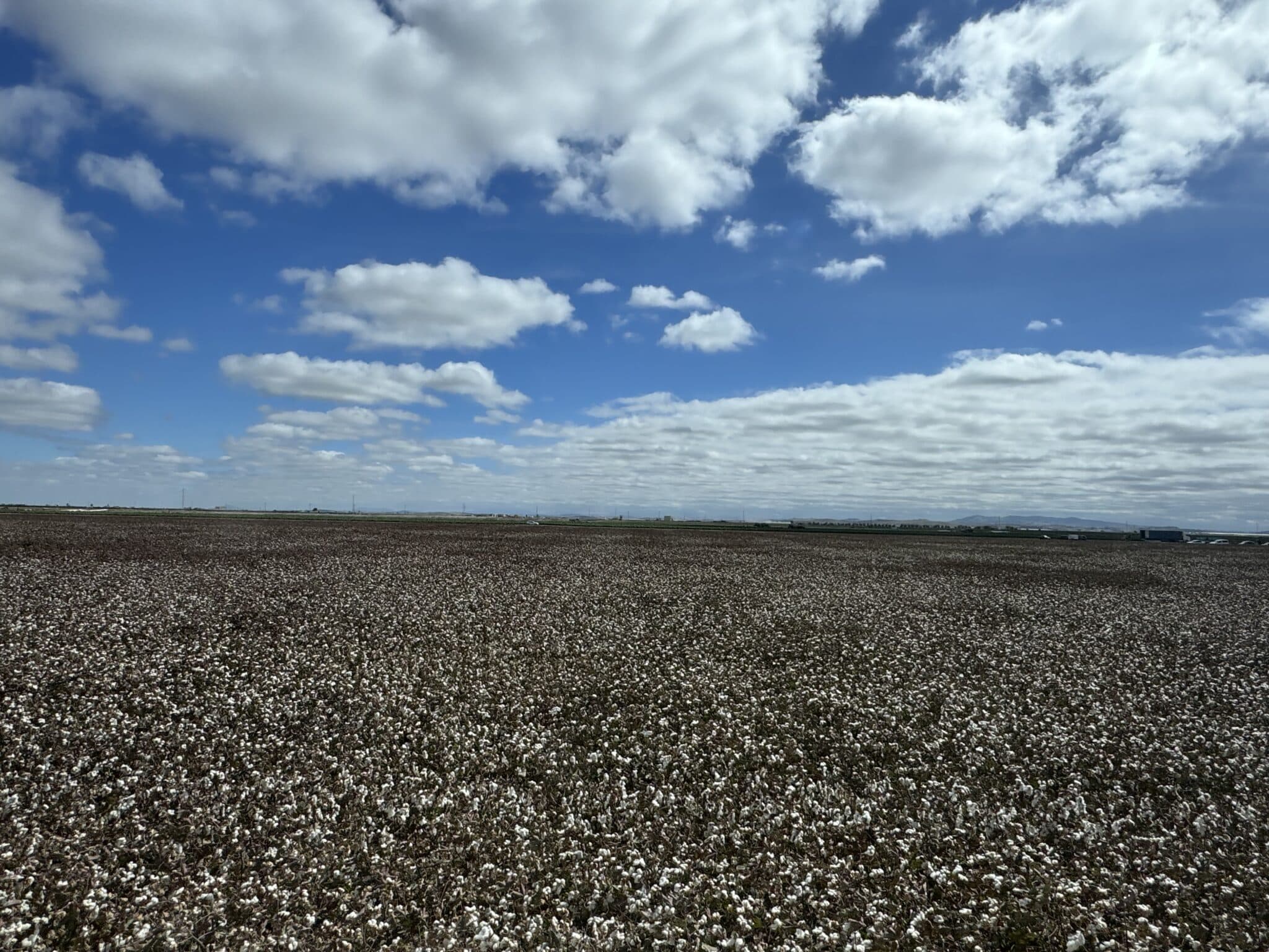 Natural raw materials: what are the prospects for local supplies ...